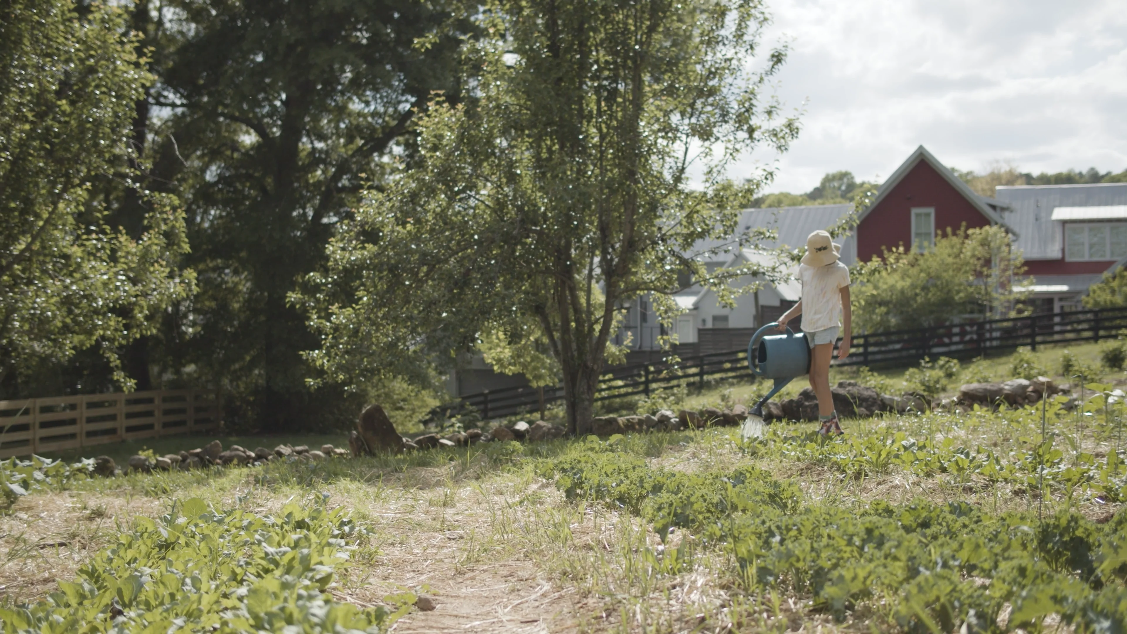 CFA Sizzle Trailer on Vimeo