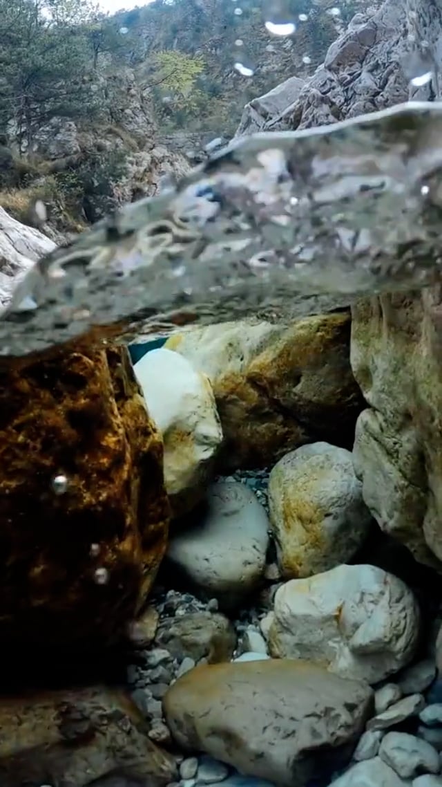 Chance Coles on Vimeo