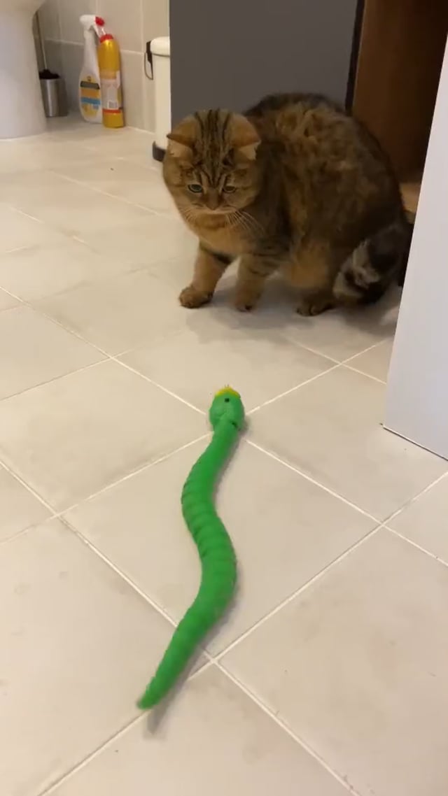 Kerry Welch on Vimeo