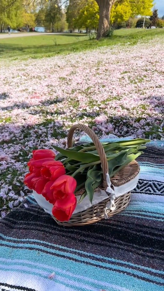 Alma Vincent on Vimeo