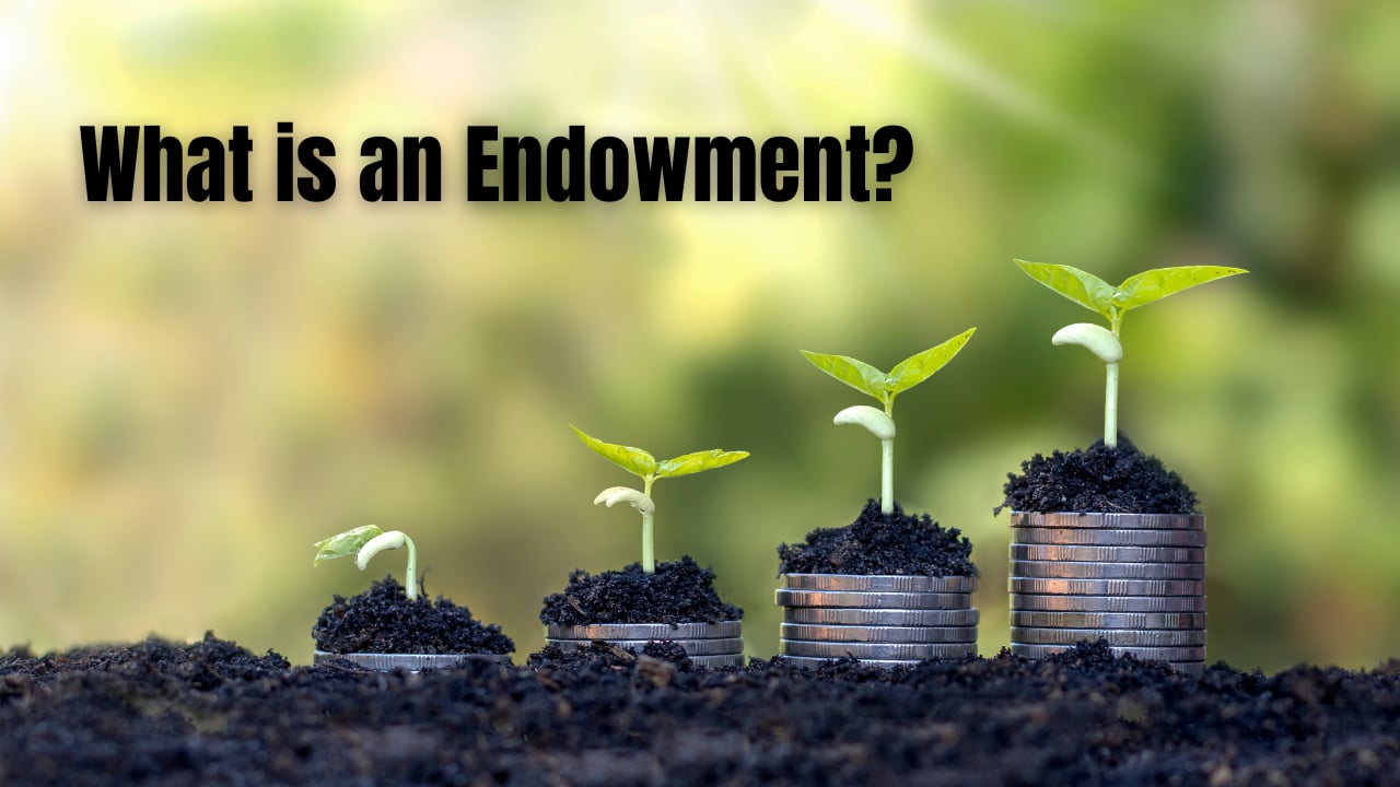 What is an Endowment? on Vimeo