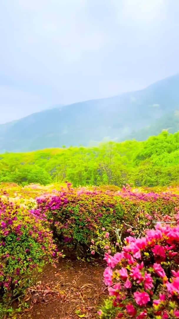 spring and autumn on Vimeo