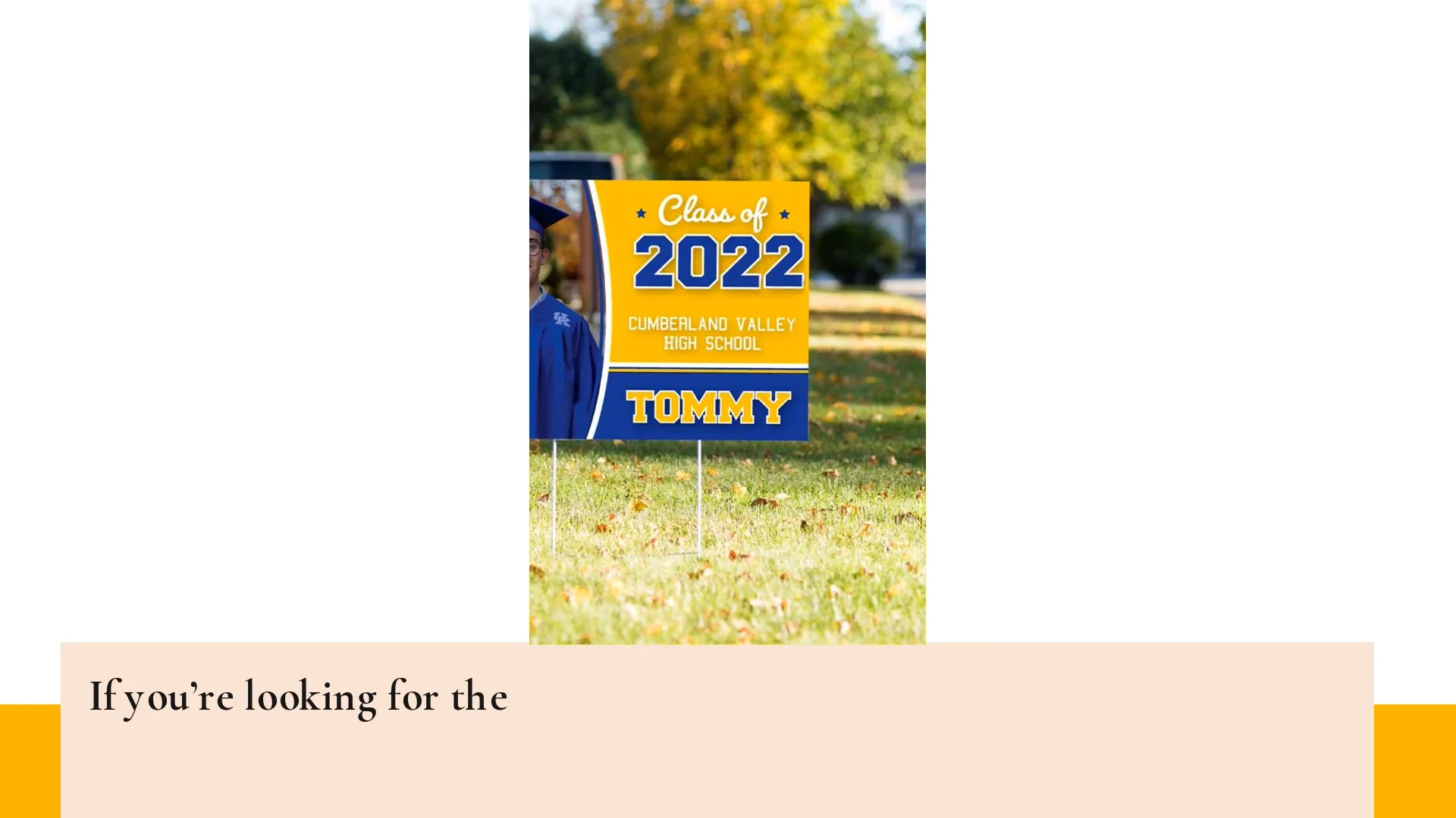 Best US Vinyl Banner Design Company For Middle School Promotion ...