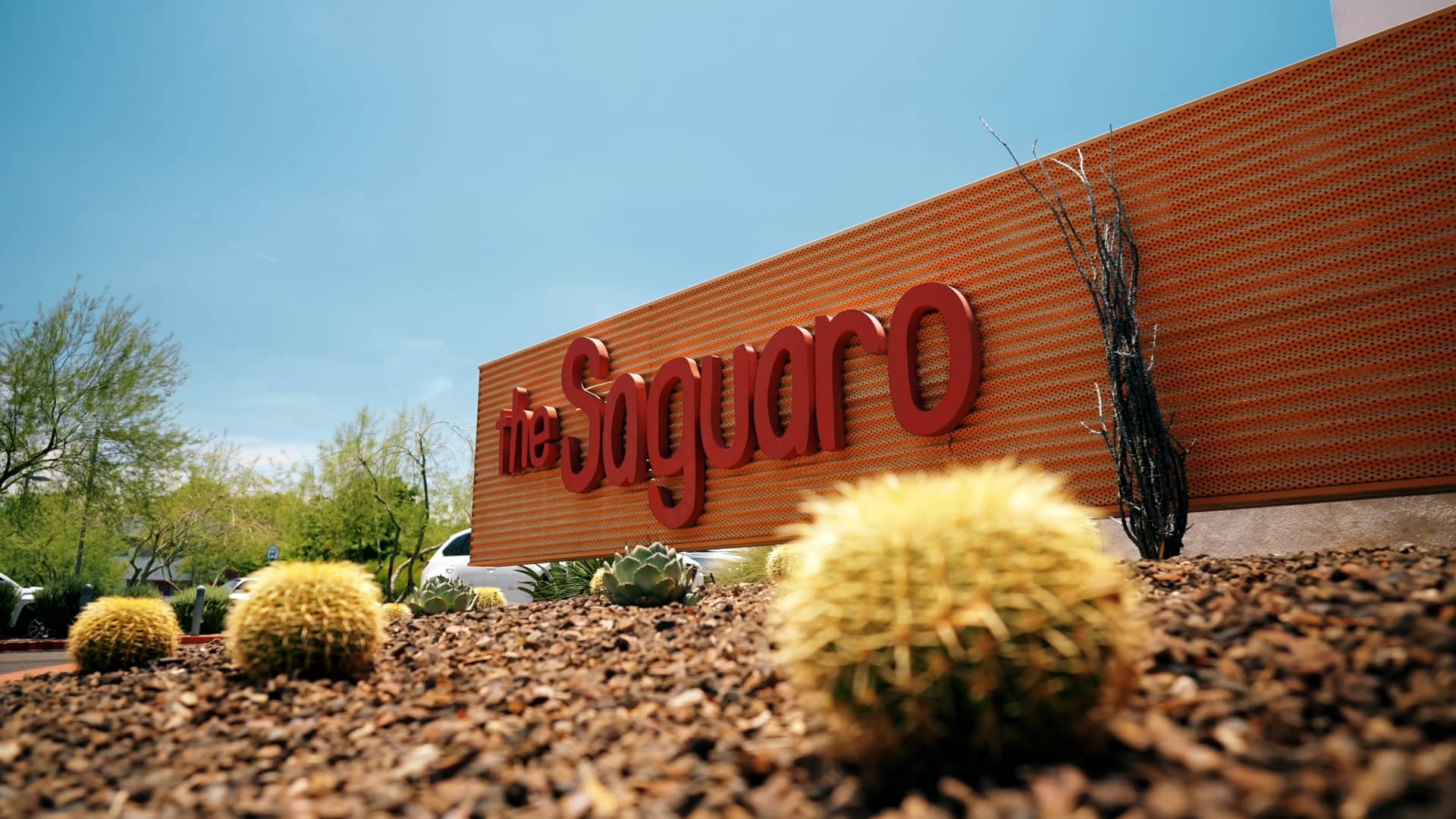 FunLove commercial color on Vimeo