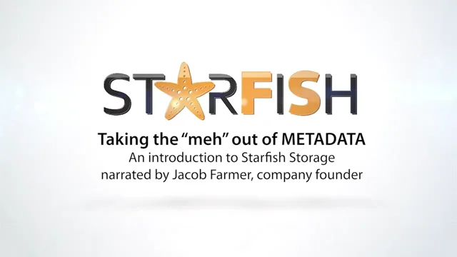 Starfish Company Logo
