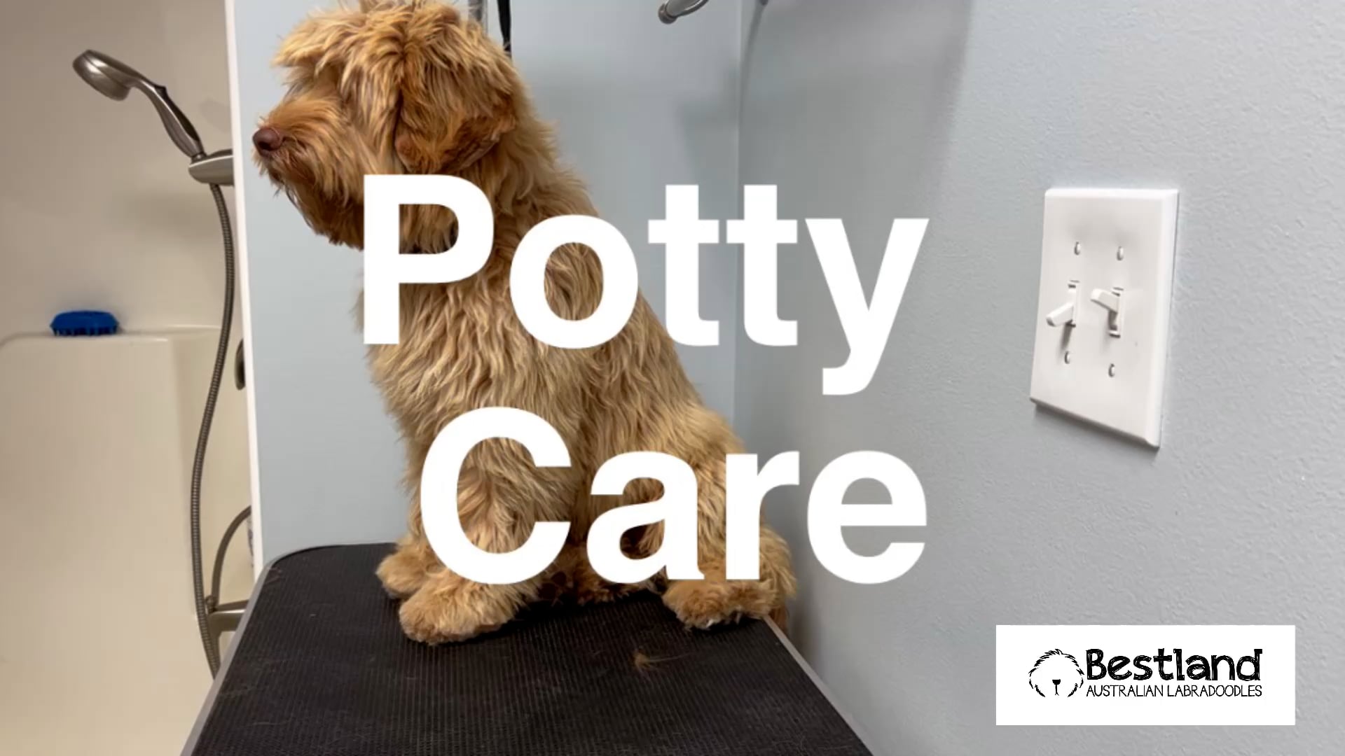 Potty Care on Vimeo
