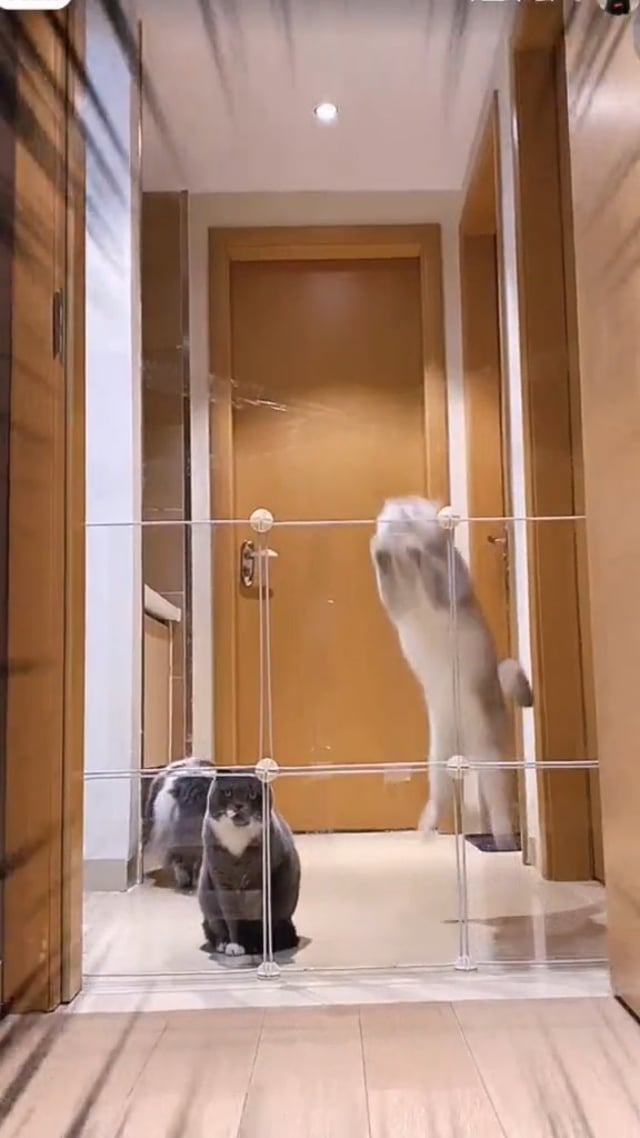 Audrey Hail on Vimeo