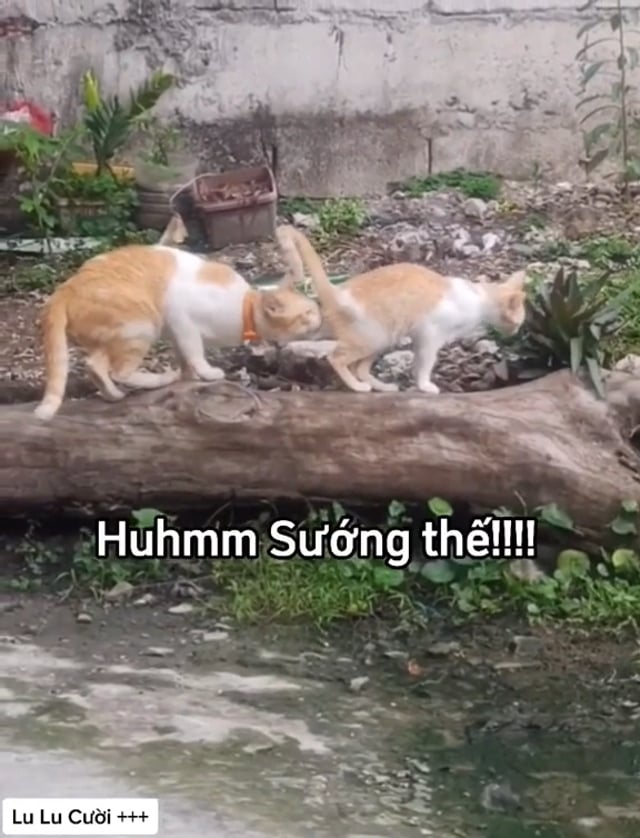 Audrey Hail on Vimeo