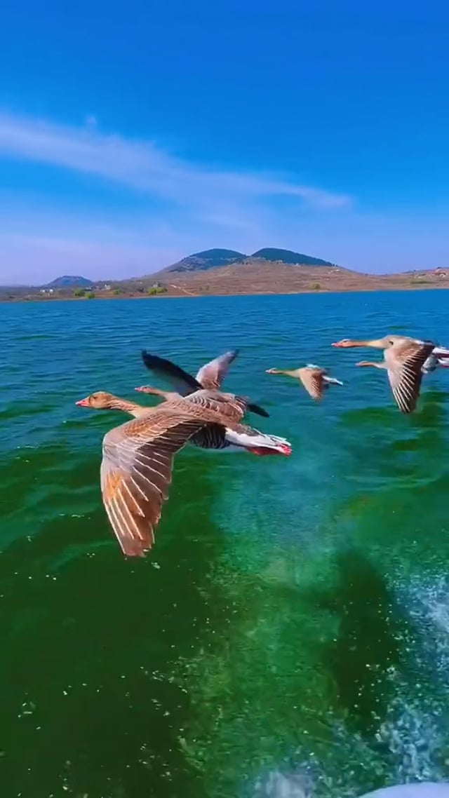 Nathan Timms on Vimeo