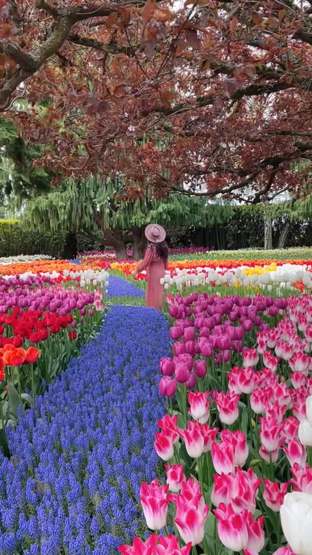 Osama Fritz on Vimeo