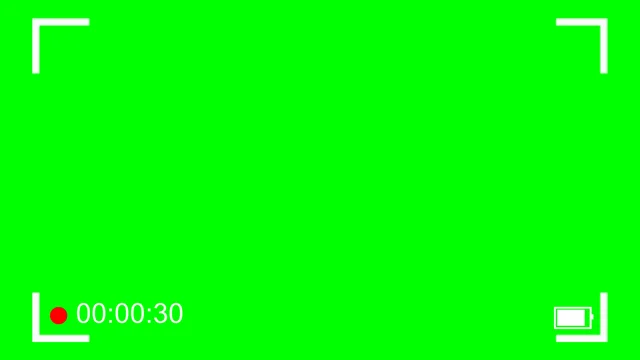 Camera Recording Screen Forest