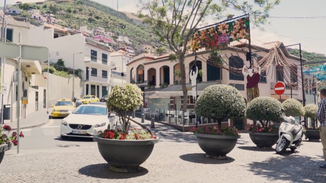 Street Decoration Festival - Free video on Pixabay