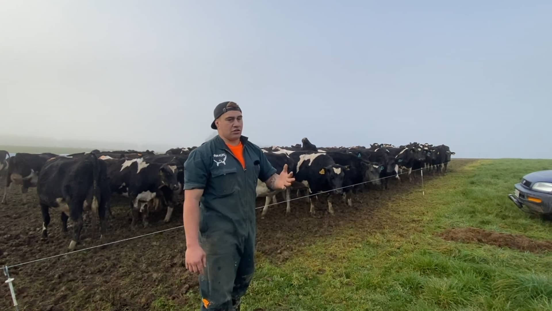 Springer Cow - Drafting setup preparations on Vimeo