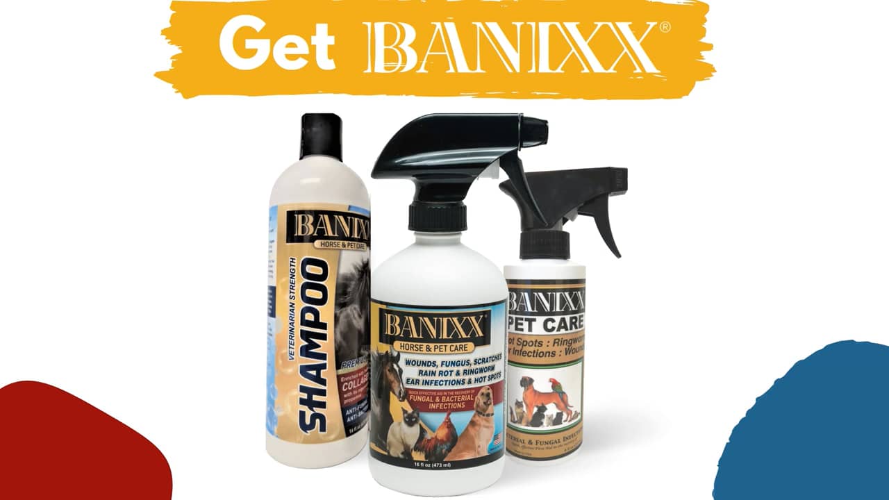 Banixx Dog and Cat Ringworm Treatment on Vimeo
