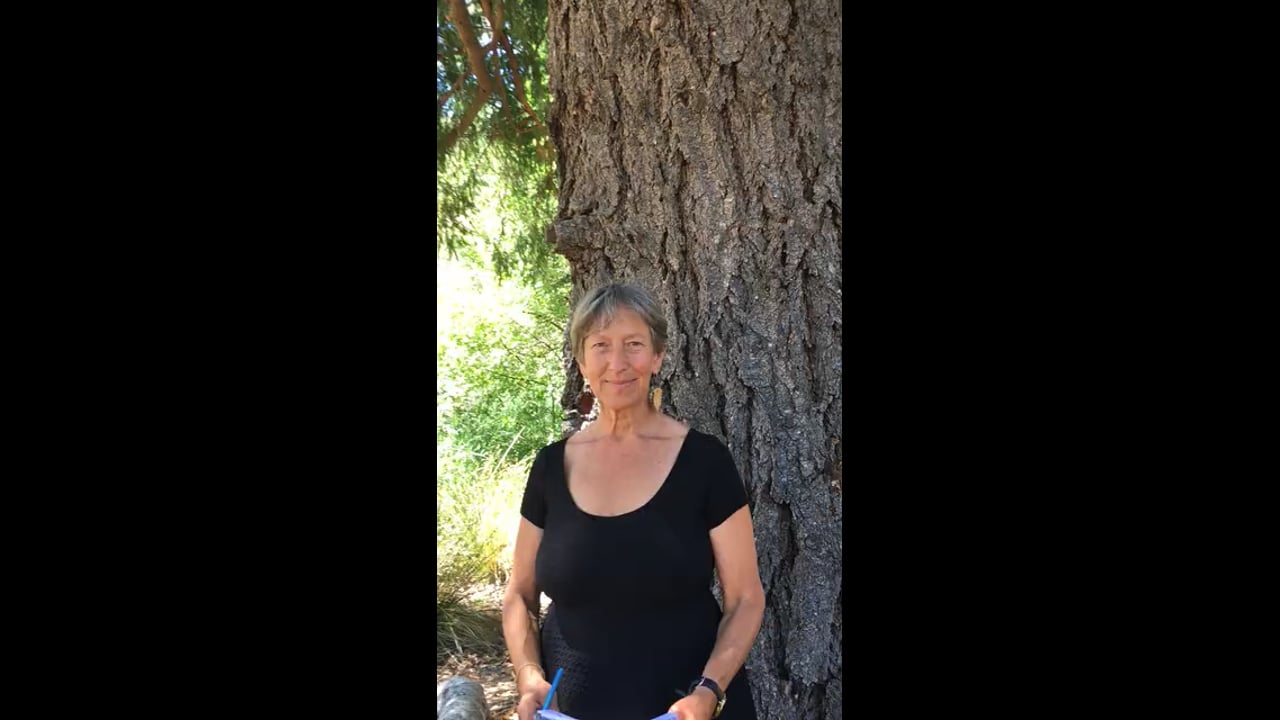 Suzanne Lerner, Psychologist, Soquel, CA, 95073 | Psychology Today