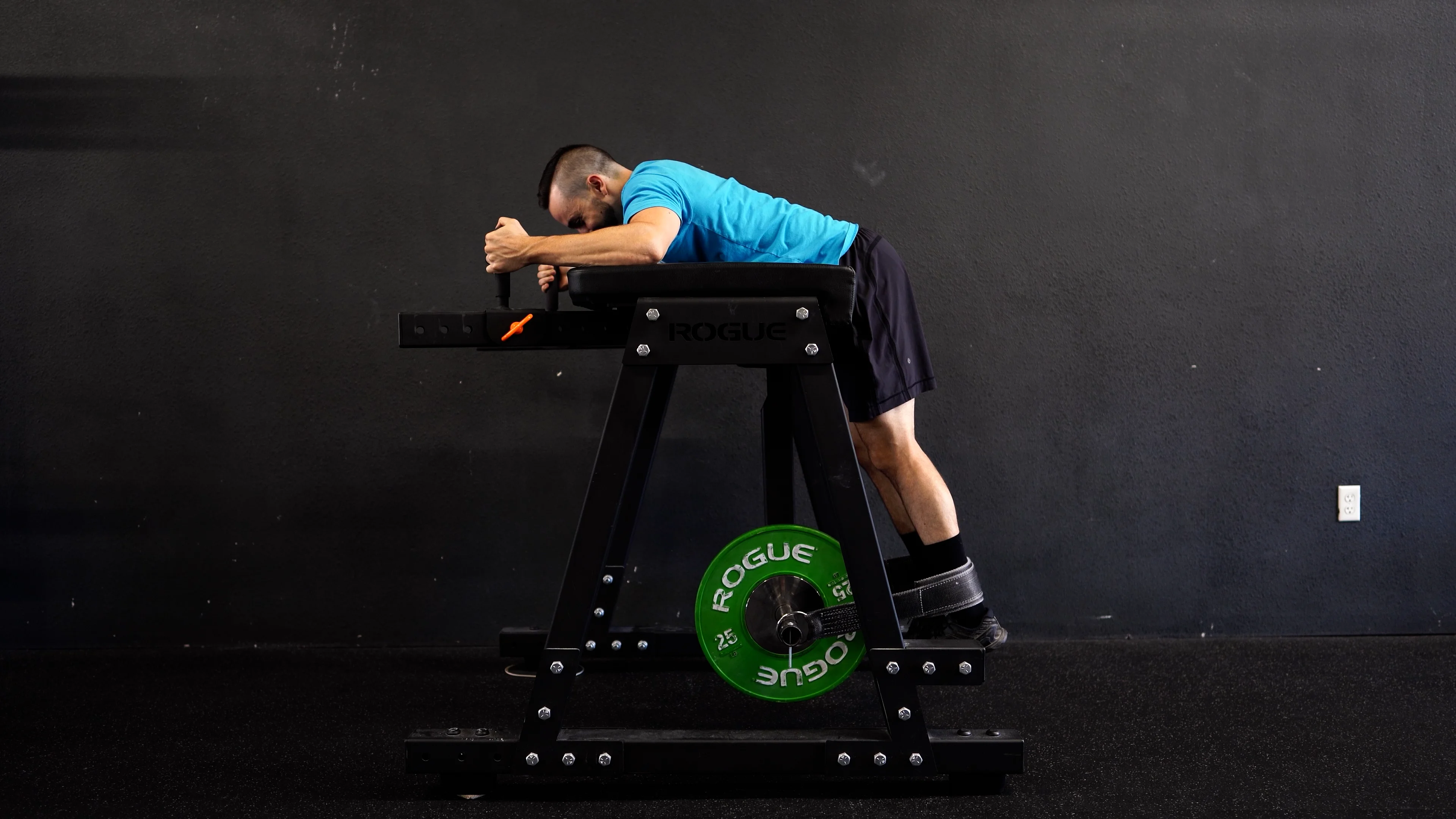 Reverse Hyperextension (Demo)