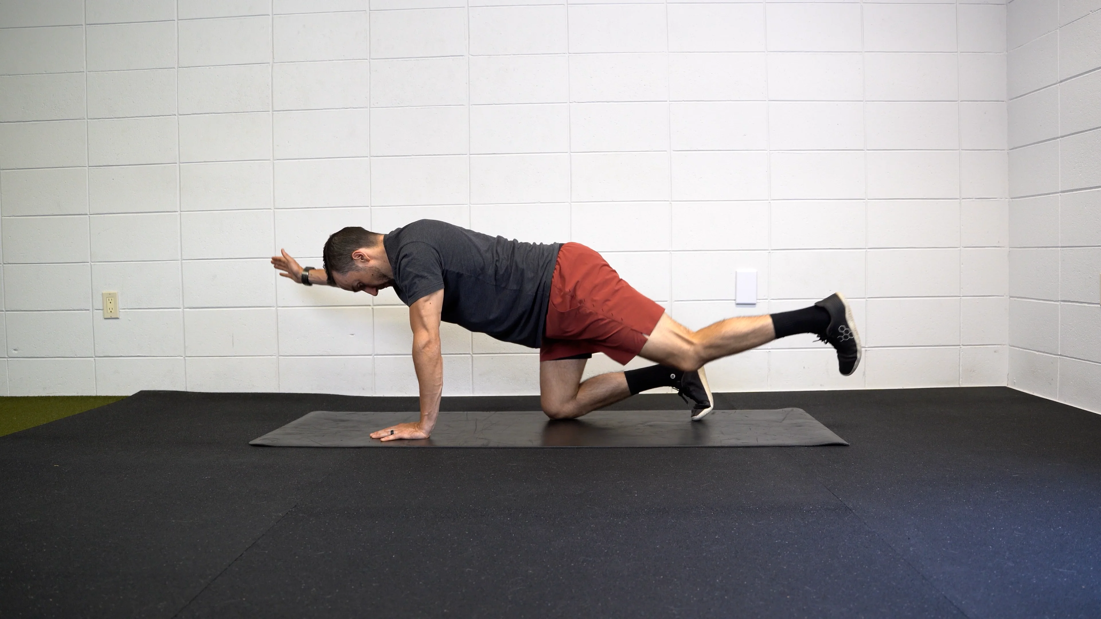 Bird Dog Isometric (Demo)