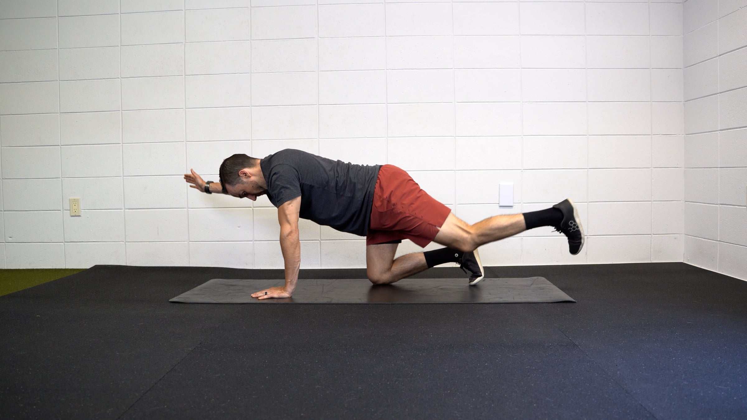 Bird Dog Isometric (Demo)