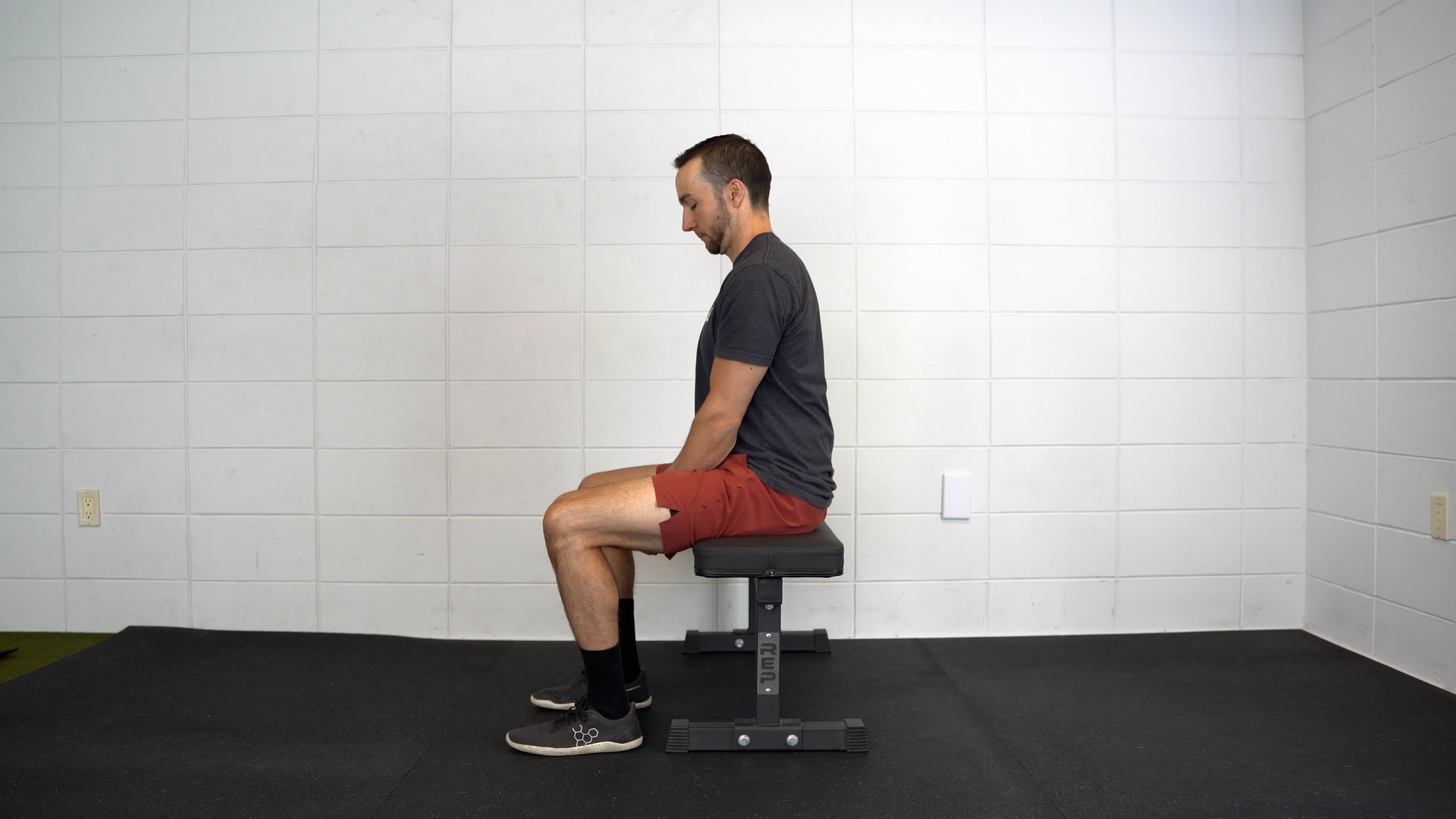 Seated Cat Cow (Demo)