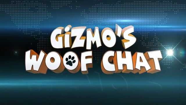 GIZMO's Woof Chat 1.0 on Vimeo