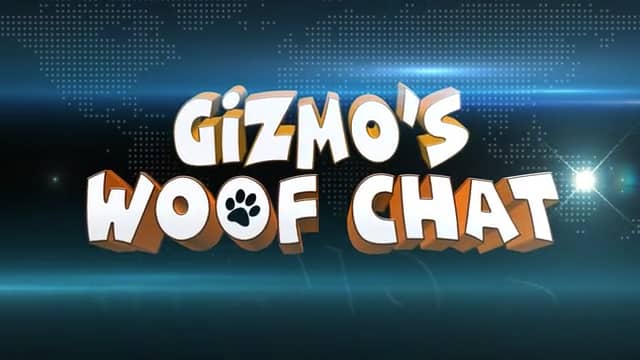 GIZMO's Woof Chat 1.0 on Vimeo