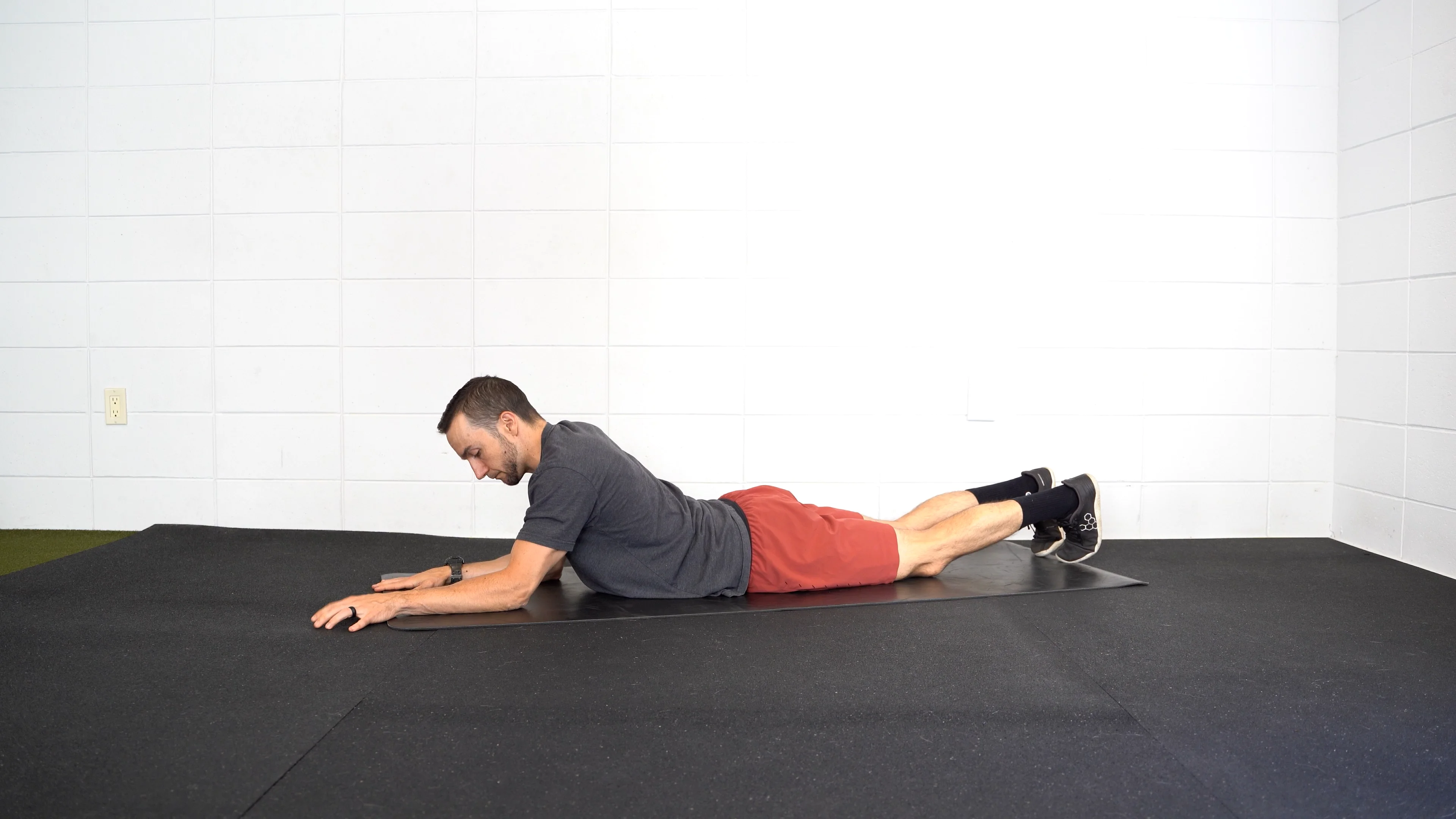 Long Lever Plank Plus (Demo)