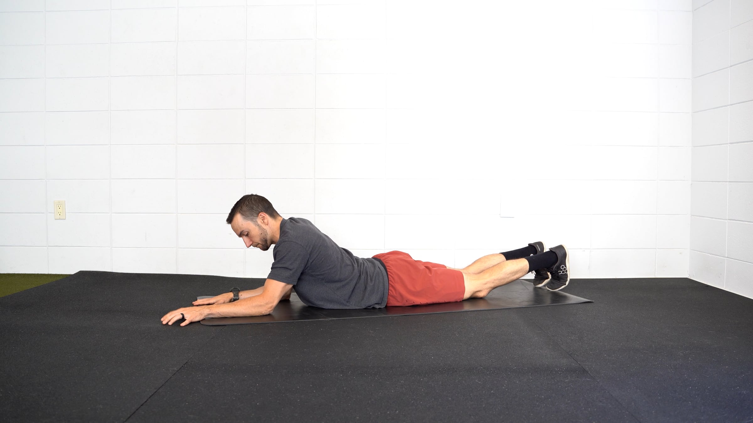 Long Lever Plank Plus (Demo)