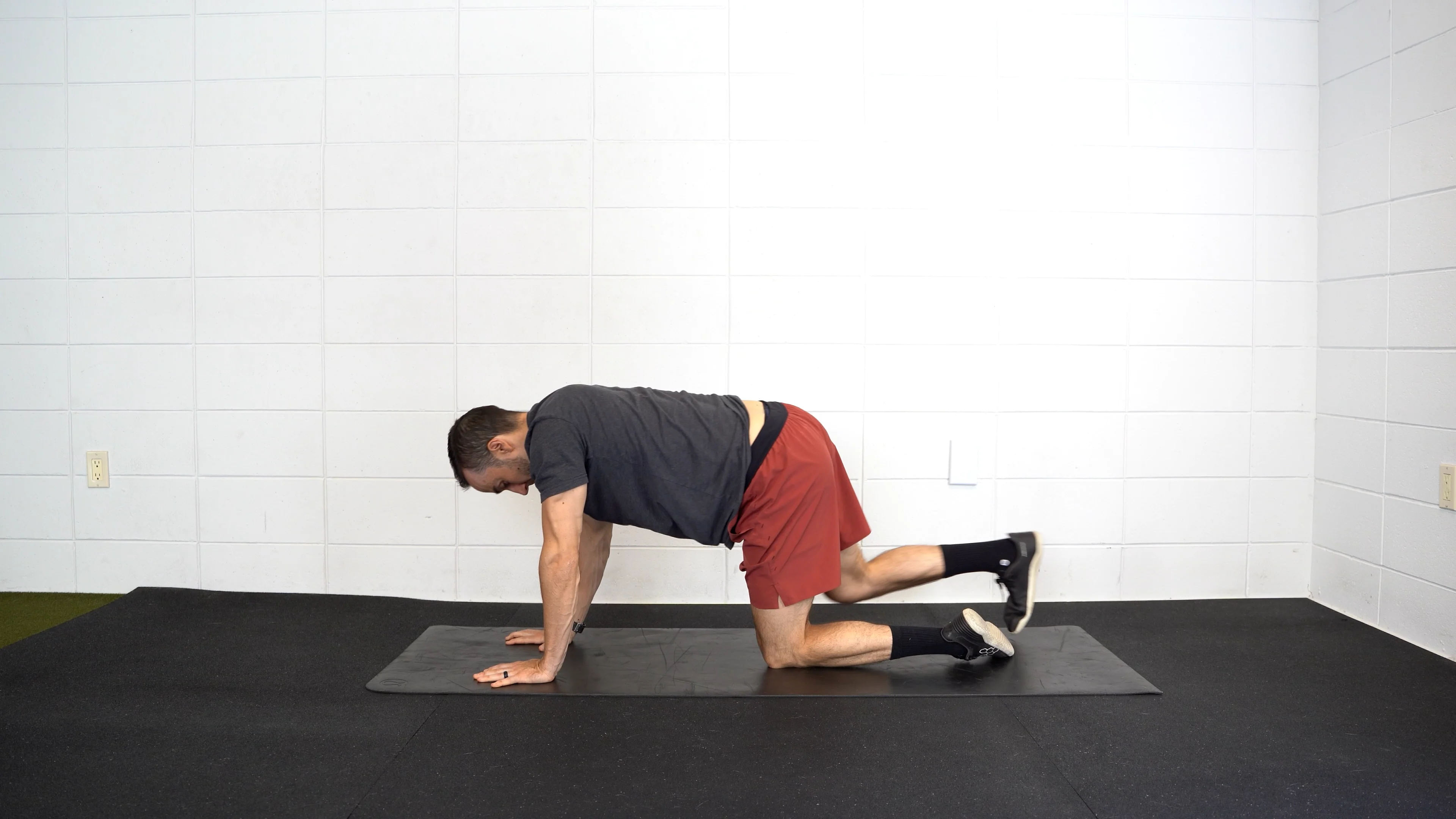 Plank Rotation (Demo)