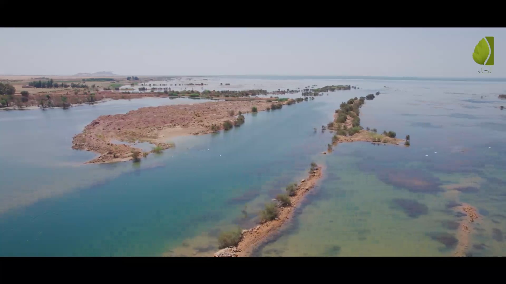 Lehaa farm documentary on Vimeo