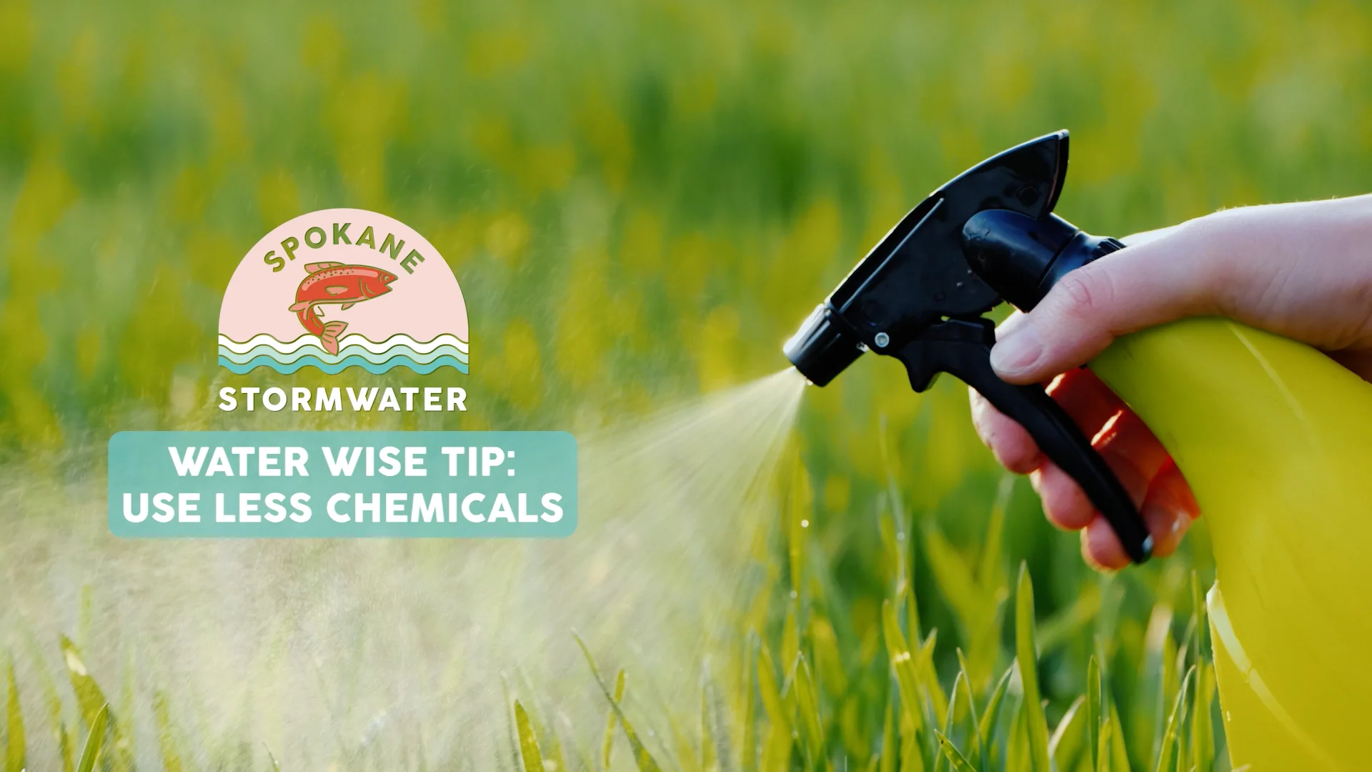 Stormwater Tip 1: Use Less Chemicals on Vimeo