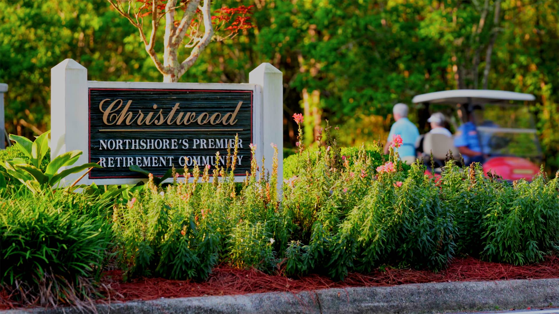 CHRISTWOOD on Vimeo
