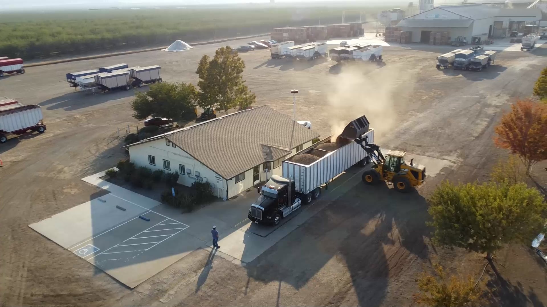 Expert Hulling and Shelling Services for Almonds