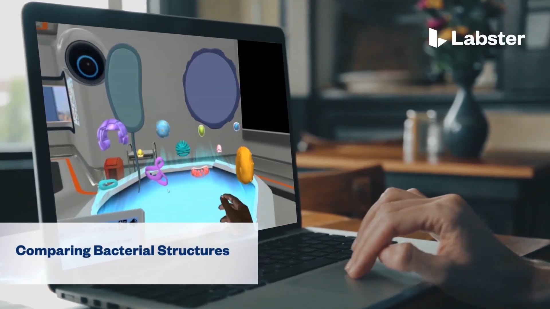 BA2 - Comparing Bacterial Structures | Labster Simulation Preview on Vimeo