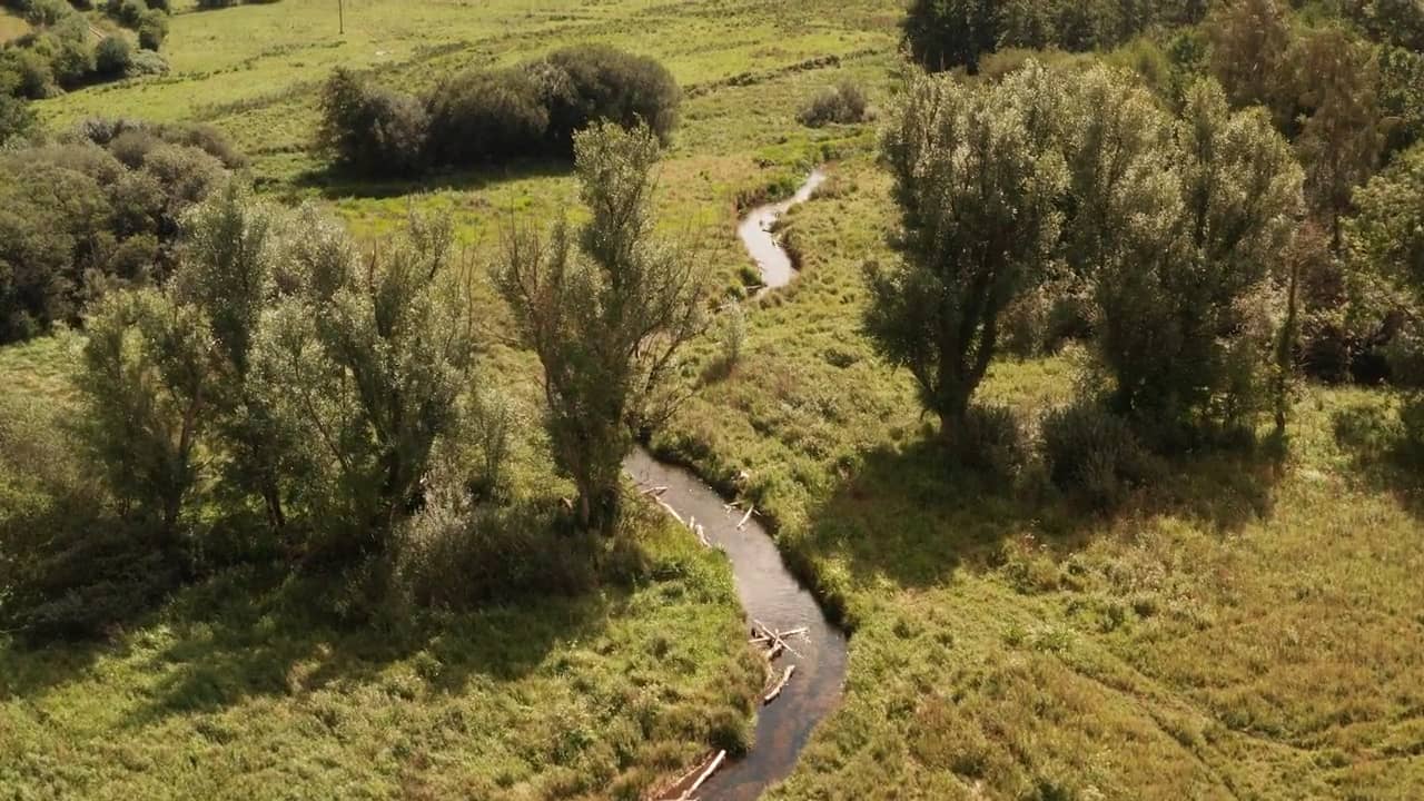 River Nar Restoration Project. on Vimeo