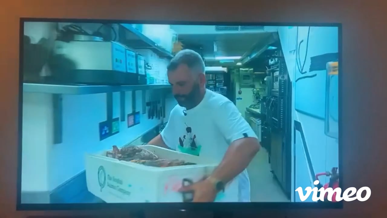 ITV News 19/07/22 on Vimeo