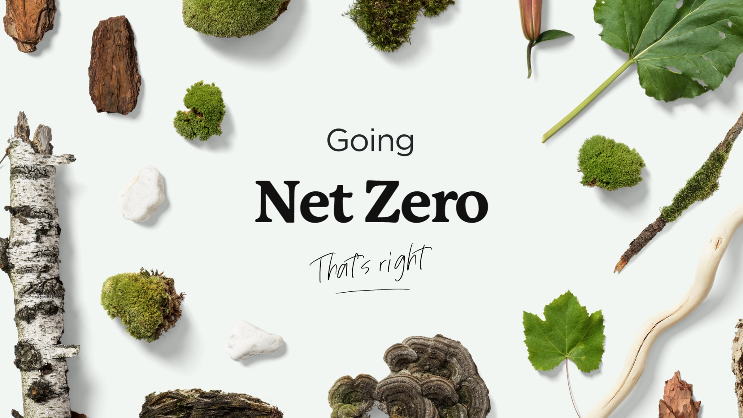 EDGE — Net Zero
