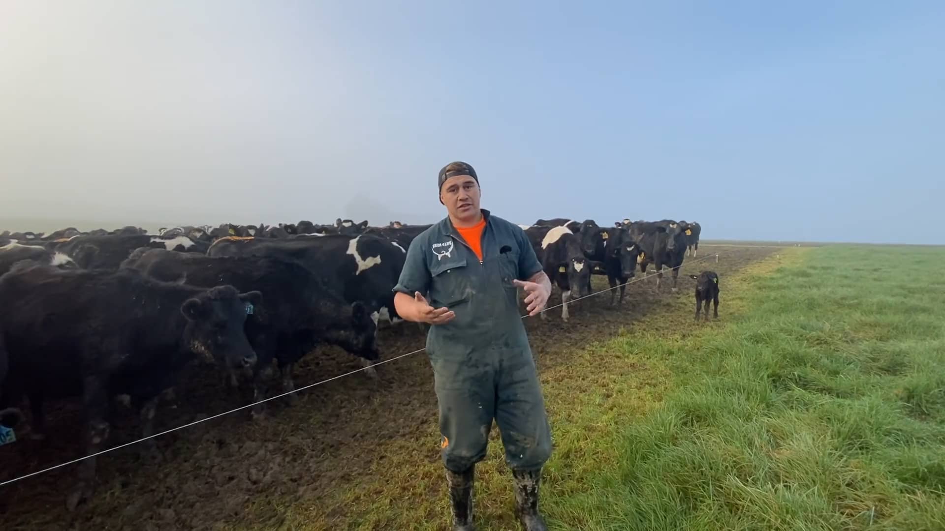 Springer Cow - Pasture management on Vimeo