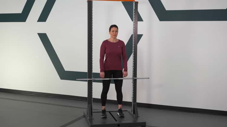 Standing Upright Row