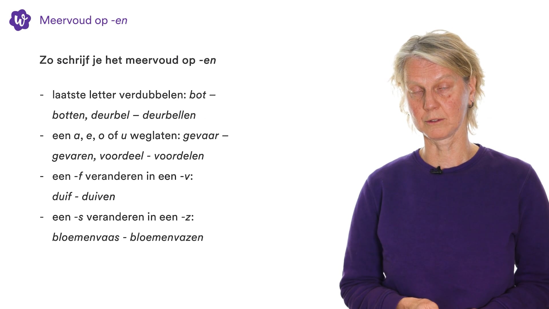 Meervoud zelfstandig naamwoord | StudyGo