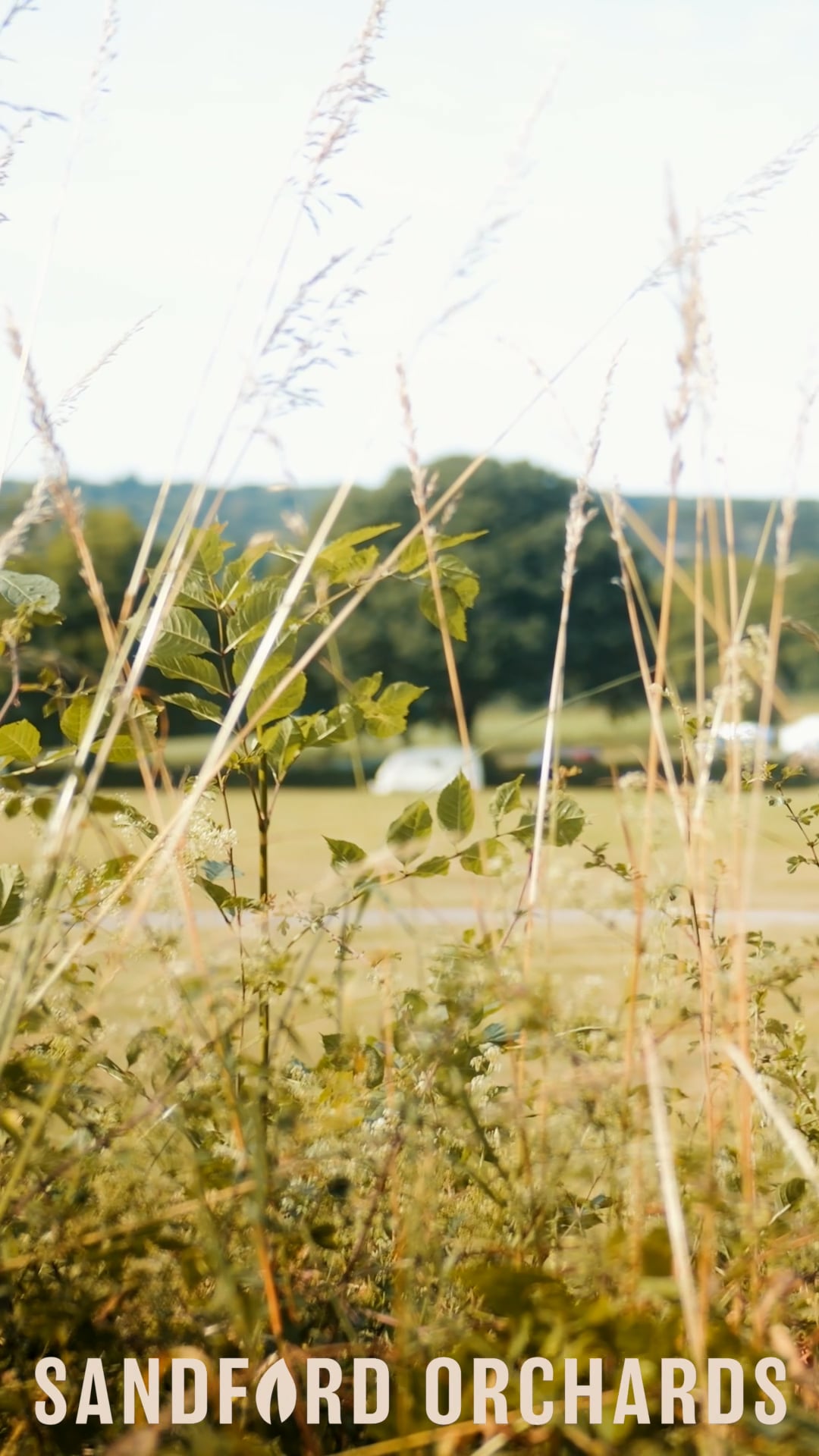 Fanny's Bramble - Vertical on Vimeo