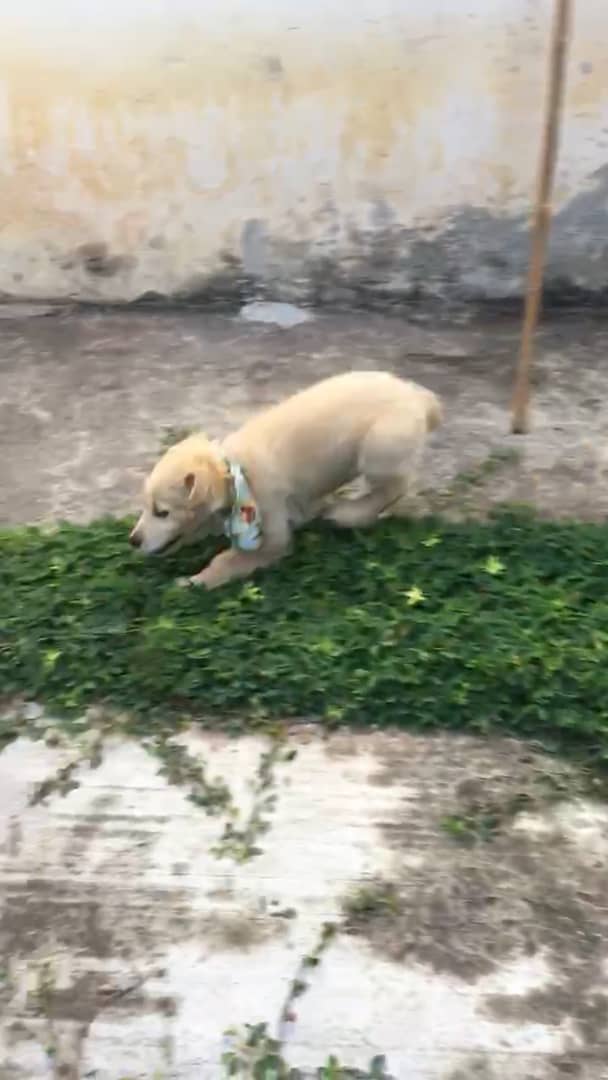 6184120220721182103 on Vimeo