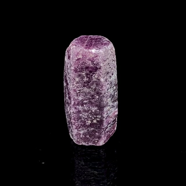 Corundum (var: Ruby) (RARE classic locality specimen) (ex Bill Larson ...