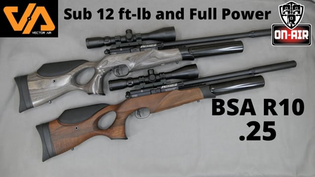 BSA R10th .25 cal sub 12 and FAC full review - Airgun101