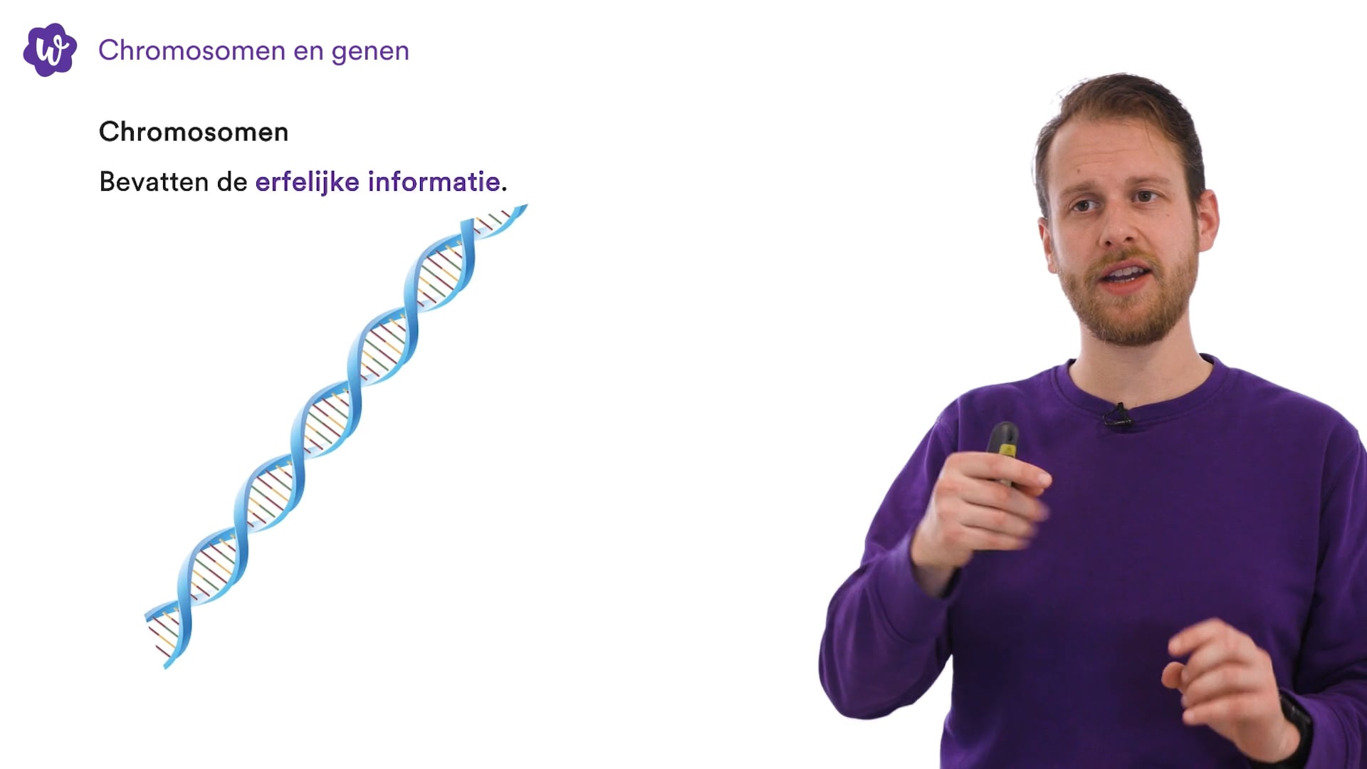 Chromosomen en genen oefenen | StudyGo