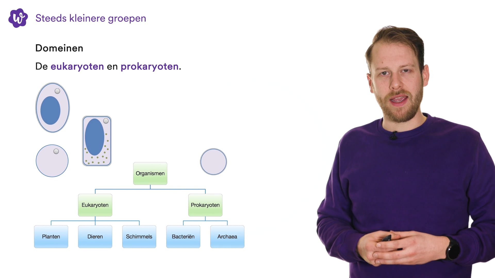 Steeds kleinere groepen oefenen | StudyGo