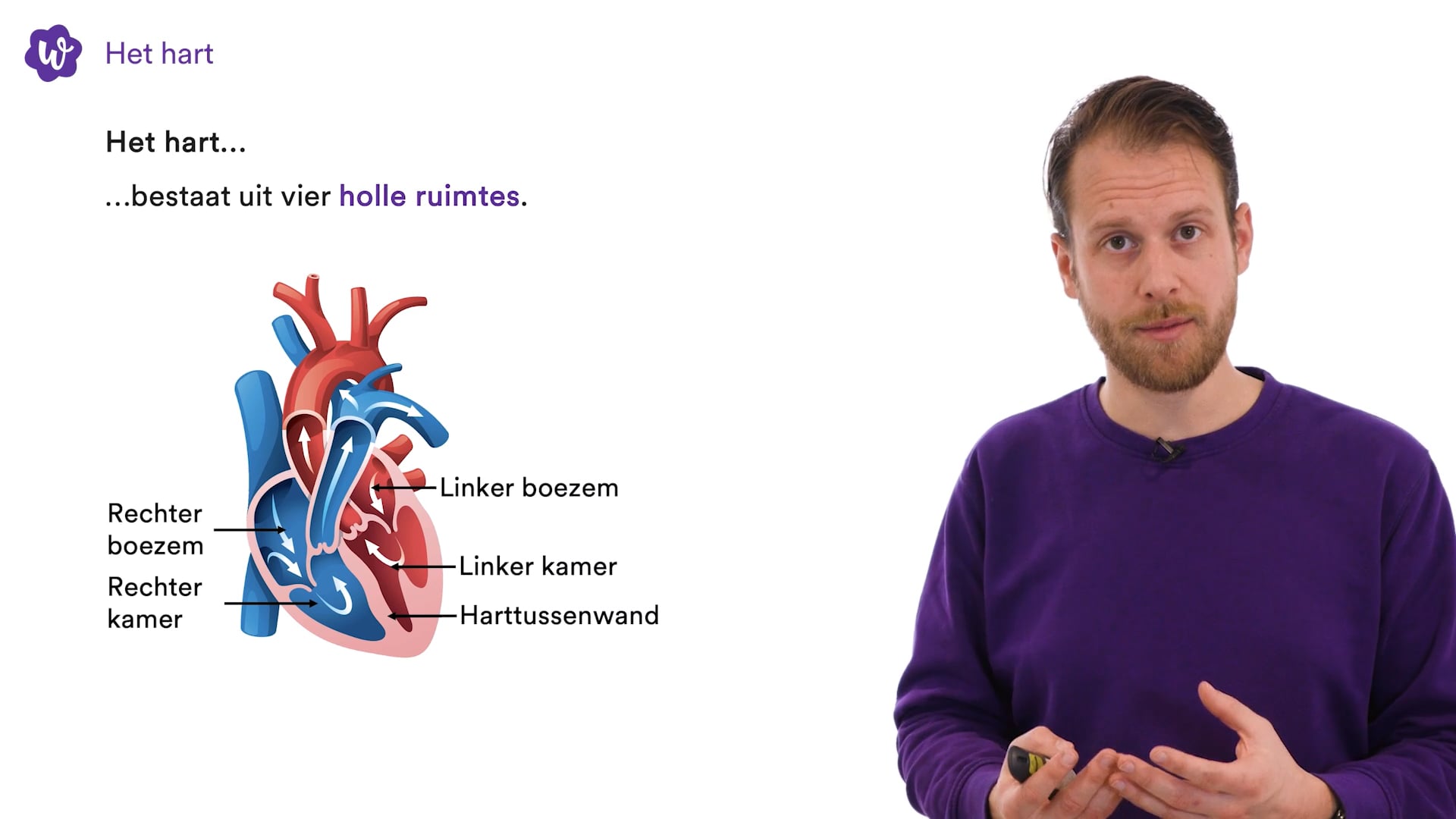 Het hart (BvJ) oefenen | StudyGo