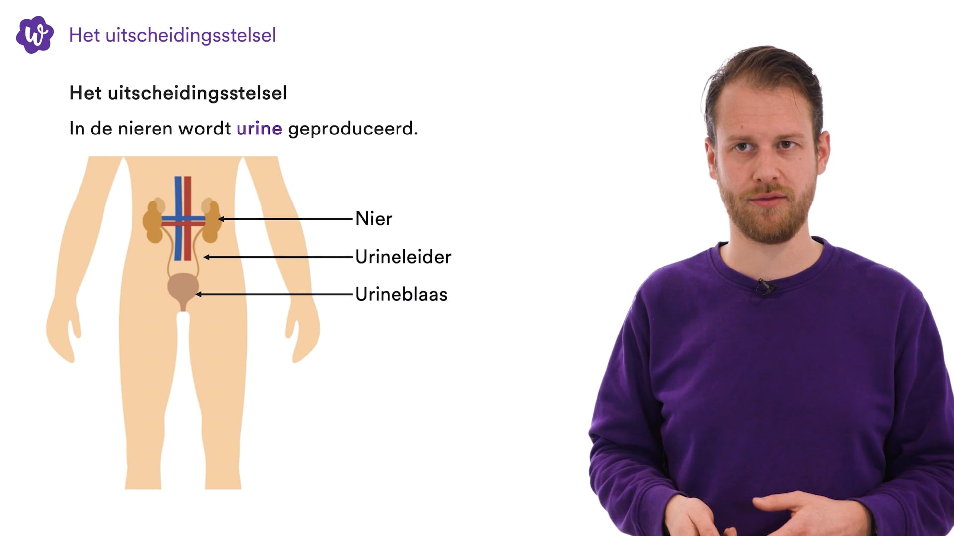 Oefen met De bloedsomloop uit Biologie voor jou / bvj – 2/3 vmbo-t/havo ...