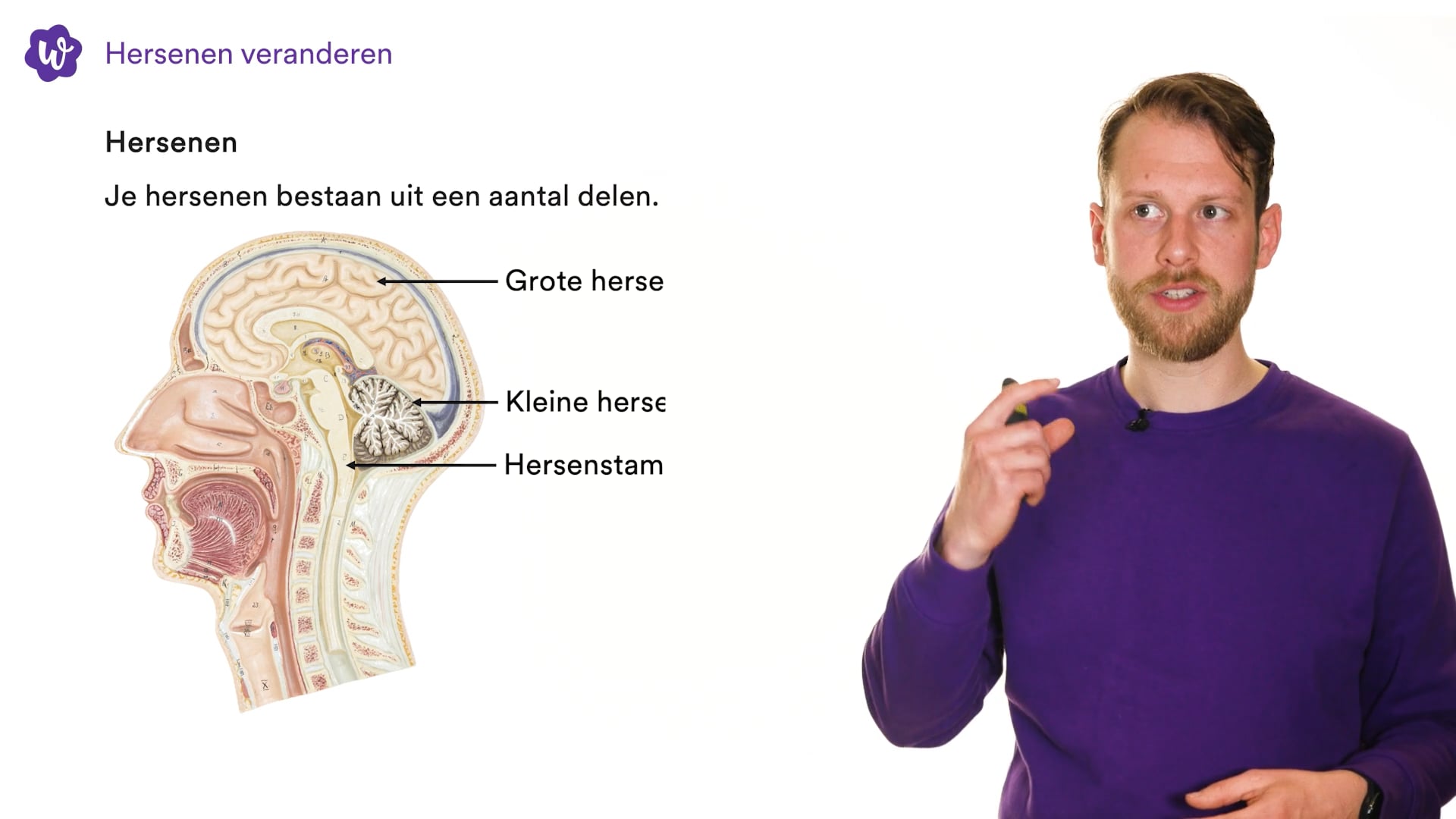 Hersenen veranderen oefenen | StudyGo