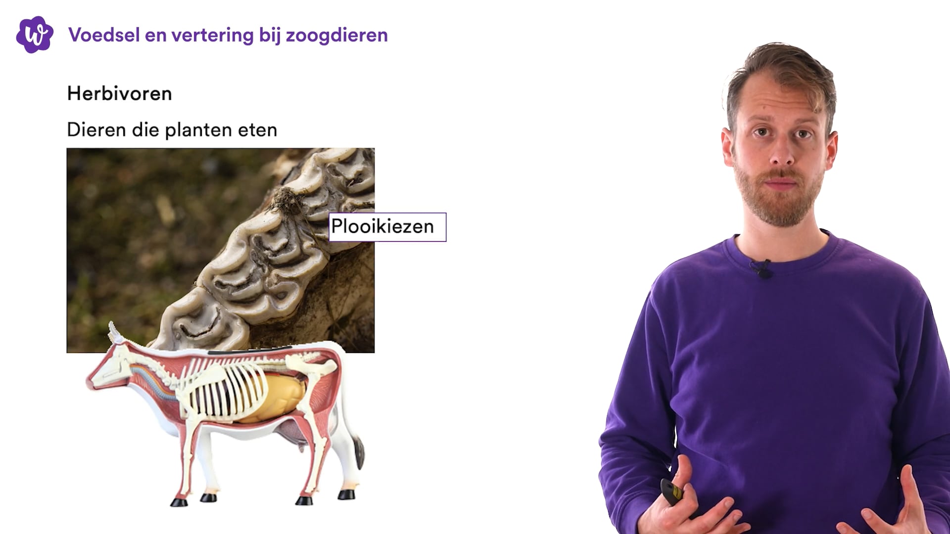 Oefen met Voeding en vertering uit Biologie voor jou / bvj – 2/3 vmbo-t ... Oefen met Voeding en vertering uit Biologie voor jou / bvj – 2/3 vmbo-t ...
