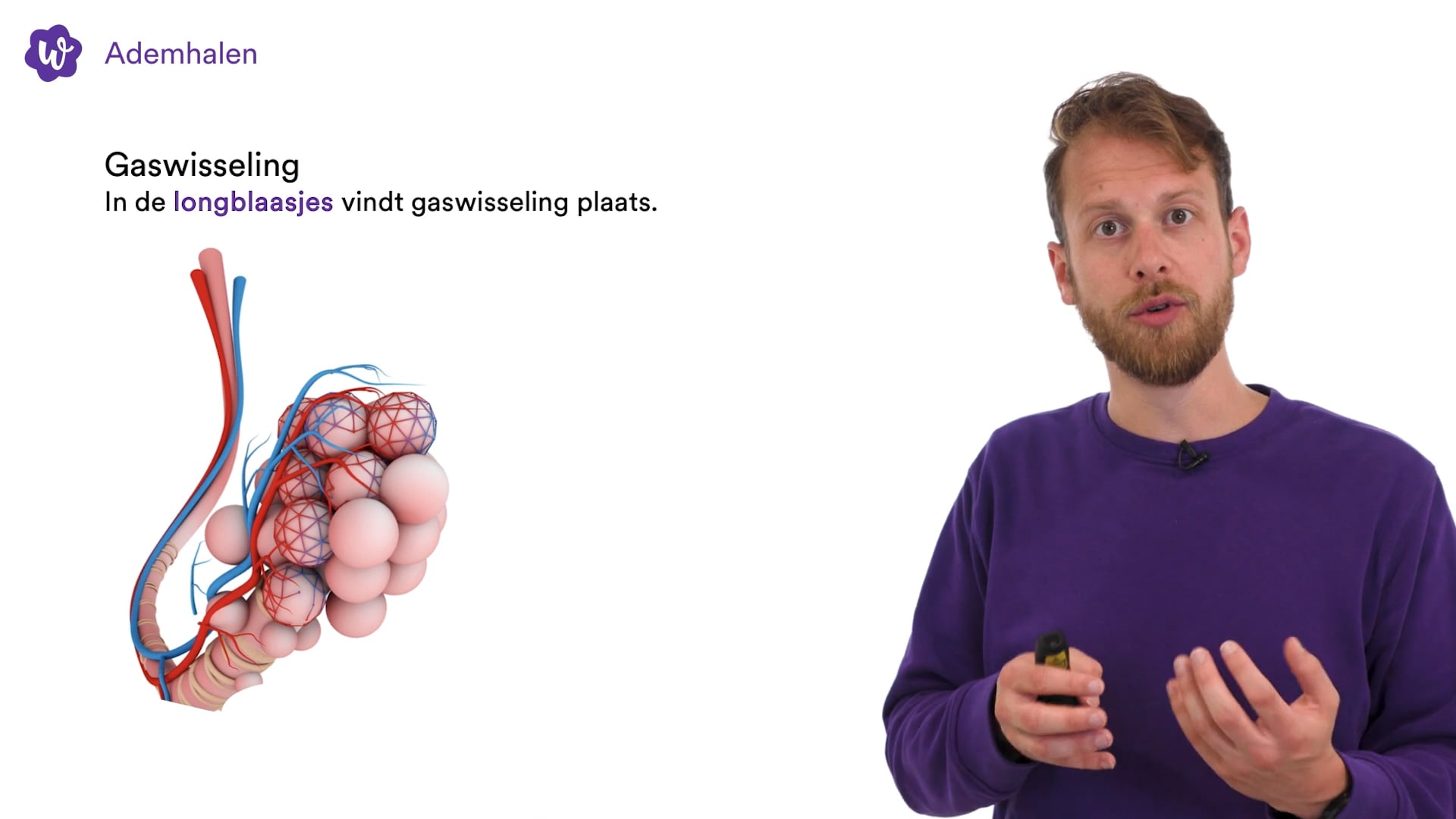 Oefen met Verbranding en ademhaling uit Biologie voor jou / bvj – 2/3 ...